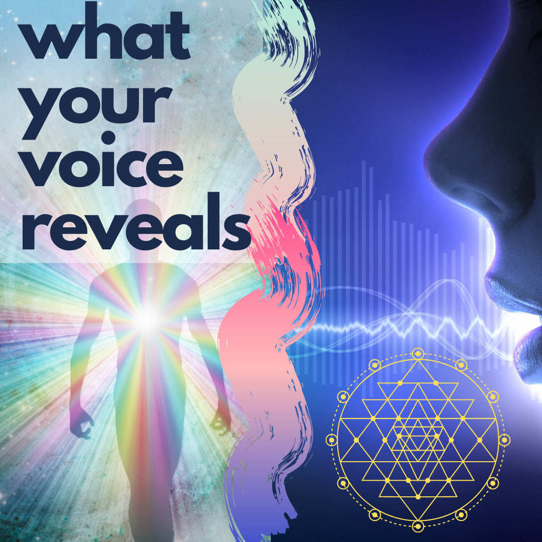 NES Health Bioenergetics Scan with Consultation – Myers Detox