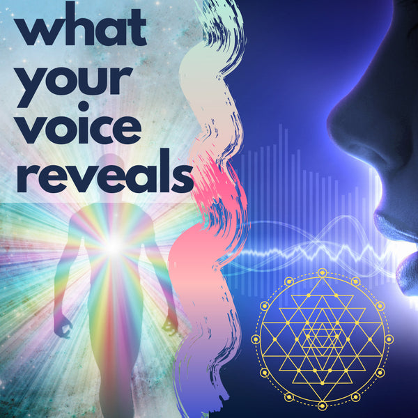 NES Health Bioenergetics Scan with Consultation – Myers Detox